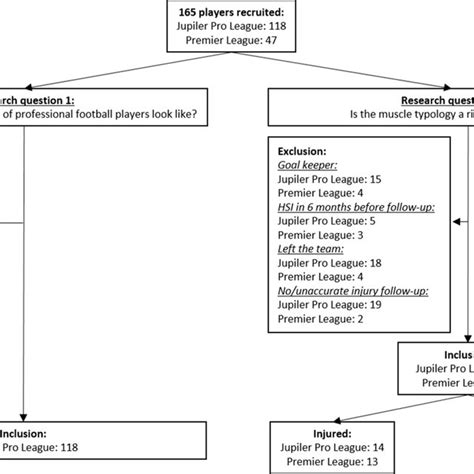 Flowchart Hsi Hamstring Strain Injury Download Scientific Diagram
