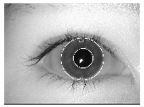 the results of the segmentation for samples taken from mmu dataset a