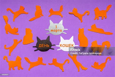 러시아에서 행복한 고양이의 날 라일락 파스텔 배경에 오렌지 재미 고양이 실루엣과 검은 색 흰색 회색 얼굴 고양이 휴가를위한 축제 레이아웃 러시아어 1 3 월 고양이 의 날