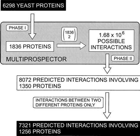 Multimeric Threading Based Prediction Of Protein Protein Interactions On A Genomic Scale