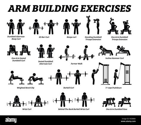 Arm Building Exercises And Muscle Building Stick Figure Pictograms