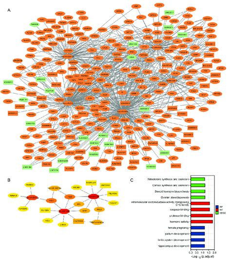 Construction And Functional Enrichment Analysis Of The Download Scientific Diagram