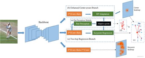 【论文阅读】 Adaptivepose Human Parts As Adaptive Points Csdn博客