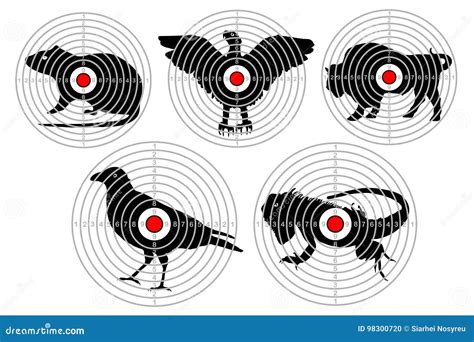 Shooting Looping Targets At Cooper Betts Blog