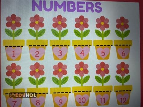 Numbers Worksheet Eduhol Etkinlik İndir Oyun Oyna Test Çöz Video İzle