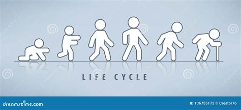 Men Aging Lifecycle Time Line Stages Man Growing Concept Male