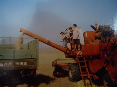 ხორბალი პური