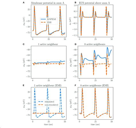 Effects Of Ephaptic Coupling In A Bundle Of Axons At X 200 µm The Download Scientific