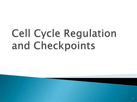 Cell Cycle Regulation And Checkpoints PPTX