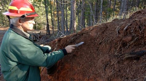 USDA NRCS Announces Updates To Soils Database Morning Ag Clips