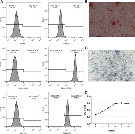 The Identification Of Mscs Aflow Cytometry Detection Results Of Mscs Download Scientific
