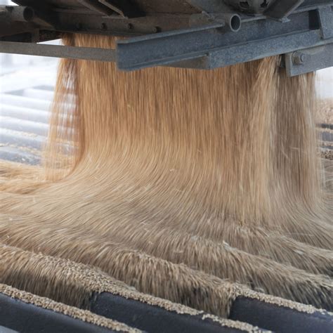 Profoss™ 2 Whole Grain The Move To In Line Grain Analysis Saves Money And Resources