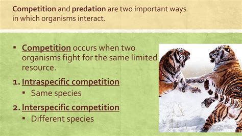 Ecological Interactions Ppt Download