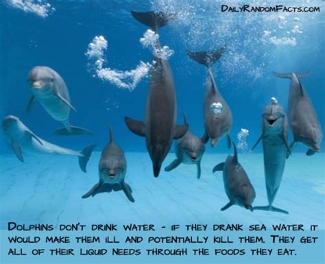 20 Awesome Animal Facts You Might Not Know Amazing Creatures