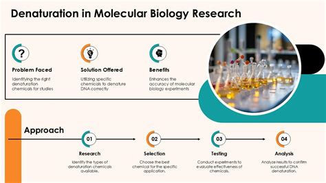 Denaturation In Molecular Biology Research Dna Denaturation Ppt