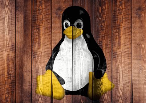 Linux Gare Aux Distributions Trop Anciennes Solutions Magazine