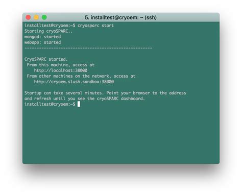 Protocol For Rapid Unsupervised Cryo Em Structure Determination Using