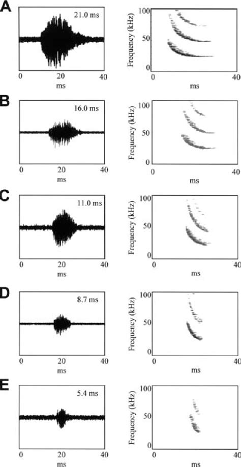 A E Spectrograms Of Representative Sonar Vocalizations Elicited With