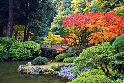 Fall Colors At Portland Japanese Gardens Portland Oregon Prints