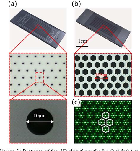 Figure 1 From A Digital Pcr Chip With 3d Structure And Composite