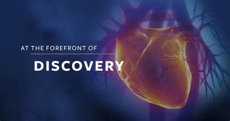 在冠状动脉 Ct 扫描中，lad 评分和斑块评分到底是什么意思？ 德克萨斯心脏研究所®