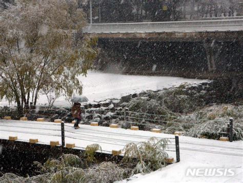 함박눈 내린 아침