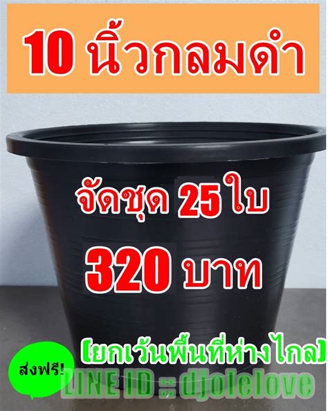 กระถางพลาสติก กระถางแคคตัส กระถางต้นไม้ราคาถูก By วิศิษฐ์ แคคตัสโอโซน กระถางพลาสติก กระถาง
