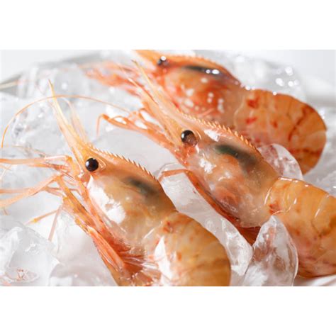【禧福水產】台灣野生牡丹蝦生食級甜蝦 特價299元500g499元1kg 最低價無菜單餐廳日本料理居酒屋 蝦皮購物