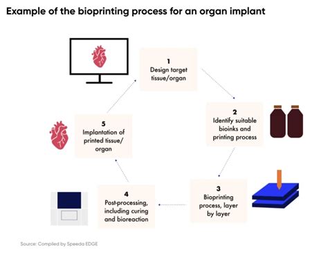 Bioprinting Speeda Edge