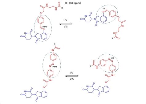 The Reversible Cis Trans Isomerization Of Photac General Structures Download Scientific