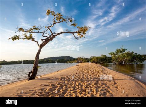 Amazon Beach House At Helene Winkleman Blog