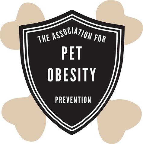 Class Projects Skillshare Student Project