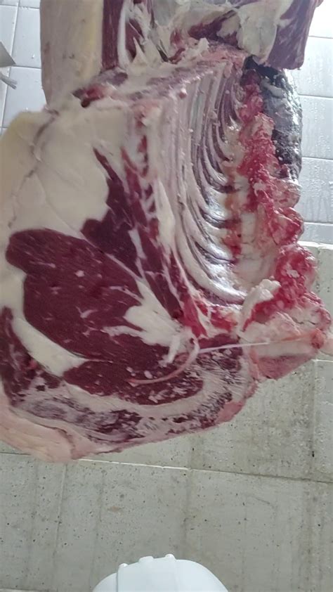 Pistola Yolo Obb Object Detection Dataset By Franco Cartalo