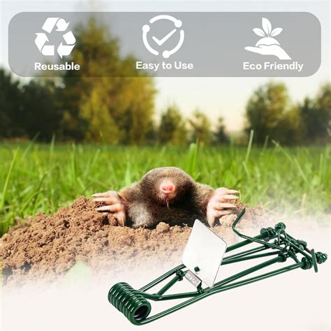 10 Pack Gopher Traps Reusable Metal Gopher Trap Easy Set Weather Proof Gopher Ebay