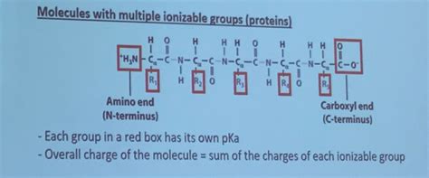 Lab Quiz 1 Diagram Quizlet
