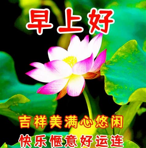 早上好图片大全你牵挂我我牵挂你 贵在 友谊