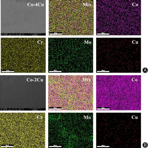 Microstructure And Element Distribution Of Co‐cu Alloys A Sem Images Download Scientific