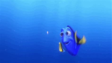 Dory S Get The Best  On Giphy