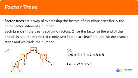 Factor Tree Mathematical Mysteries