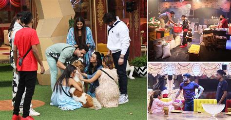 Bigg Boss 16 Day 87 Written Updates Tension Increases As The Ration