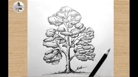 How To Draw A Tree In 7 Easy Steps YouTube