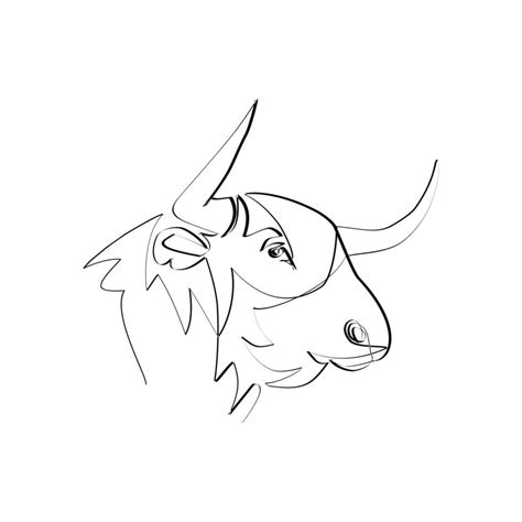 Bull Head Vector Illustration Drawn In Line Art Style 12605601 Vector