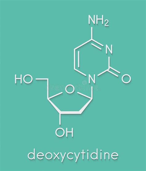 Deoxycytidine Monophosphate Dcmp Nucleotide Molecule Dna Building Block Skeletal Formula
