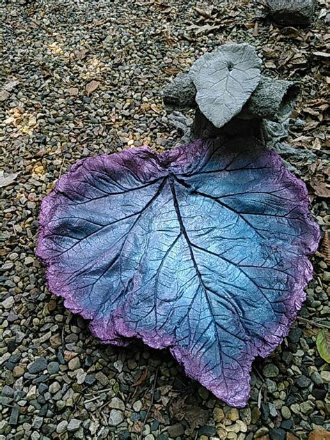 Pin By Barbara K Griess On Finished Cement Leaf Examples Concrete