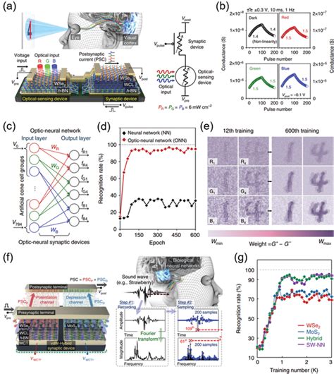 Applications Of 2d Electronic Synapses In Pattern Recognition A Download Scientific Diagram