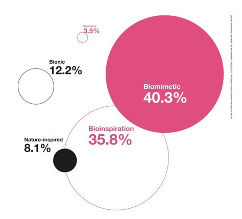 Biomimicry Innovation Science Richard James Maccowan