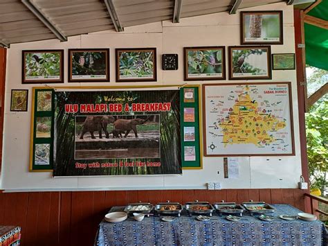 Ulu Malapi Bed And Breakfast Inn Reviews Sukau Kinabatangan District