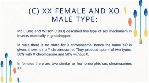 Botany Theories Of Sex Determination Pptx