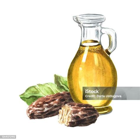 향기로운 아로마 톤카 콩 오일 흰색 배경에 고립 된 수채화 손 그린 그림 Tonka Bean에 대한 스톡 벡터 아트 및 기타 이미지 Tonka Bean 가루로 빻은