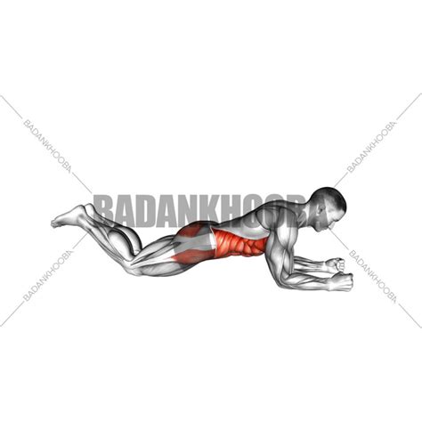 پلانک زانو روی زمین ویدیو و تصویر آموزشی